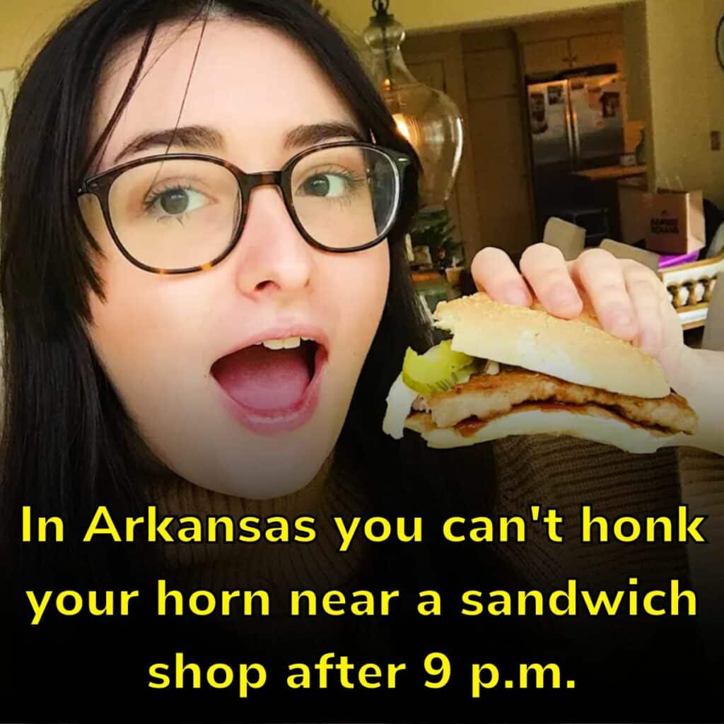 Good ol’ USA: The Wackiest, Funniest, and Most Intriguing Laws in Each ...